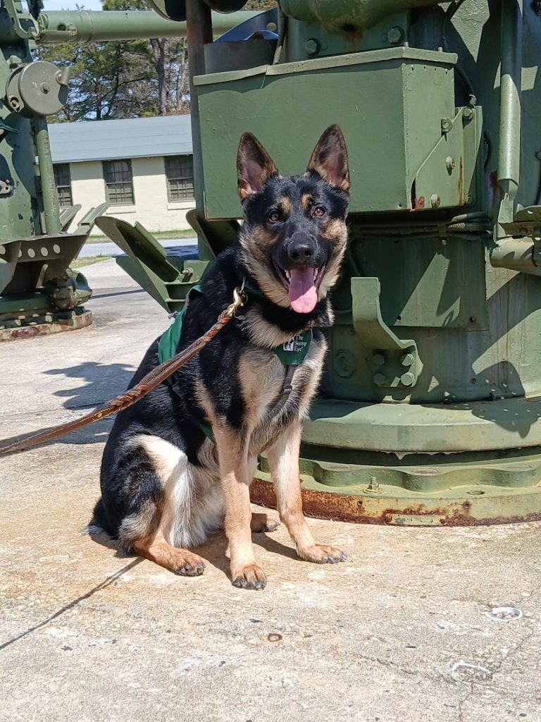 First of June Reminders